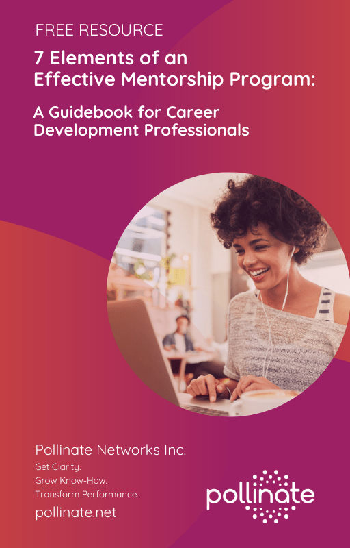 Mentoring best practices for the virtual workplace - Pollinate Networks Inc.