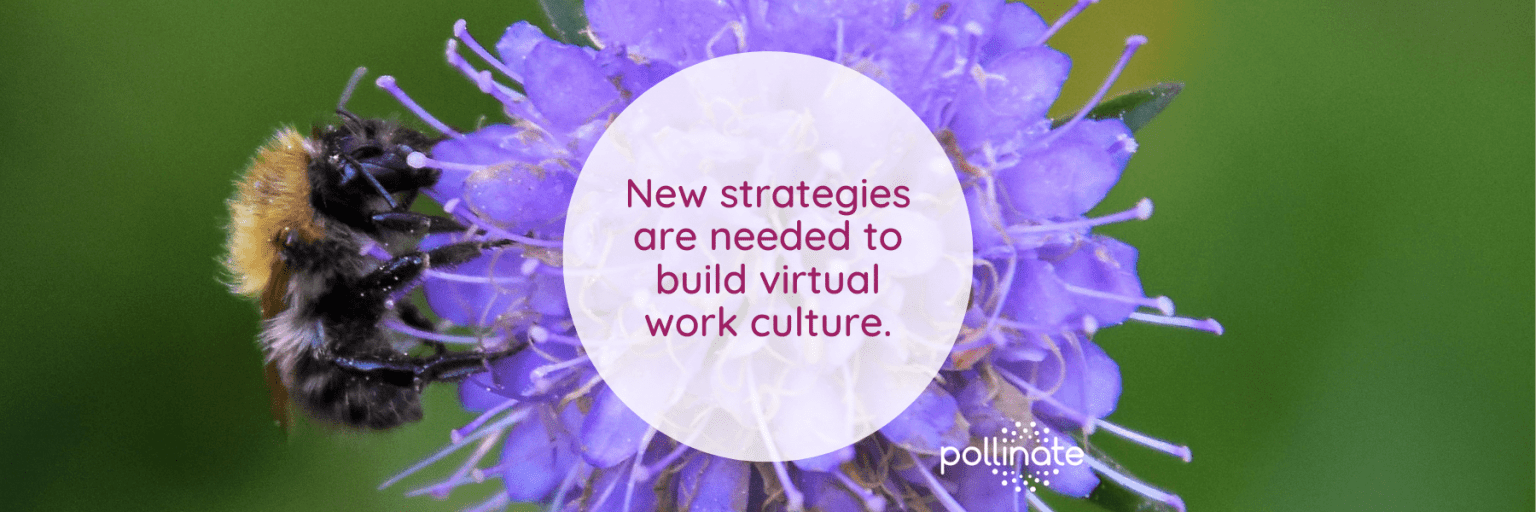 How to cross-pollinate workplace culture in a virtual environment ...