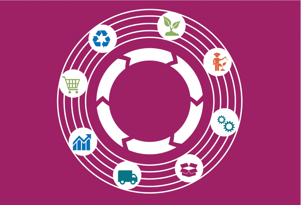 Industry mentoring program examples from Pollinate